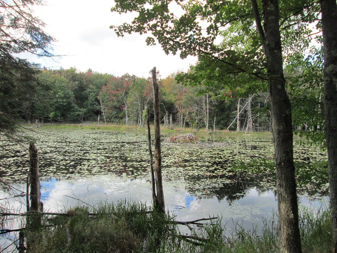Newcomb Pond Ribbon Cutting | Dyken Pond Environmental Education Center