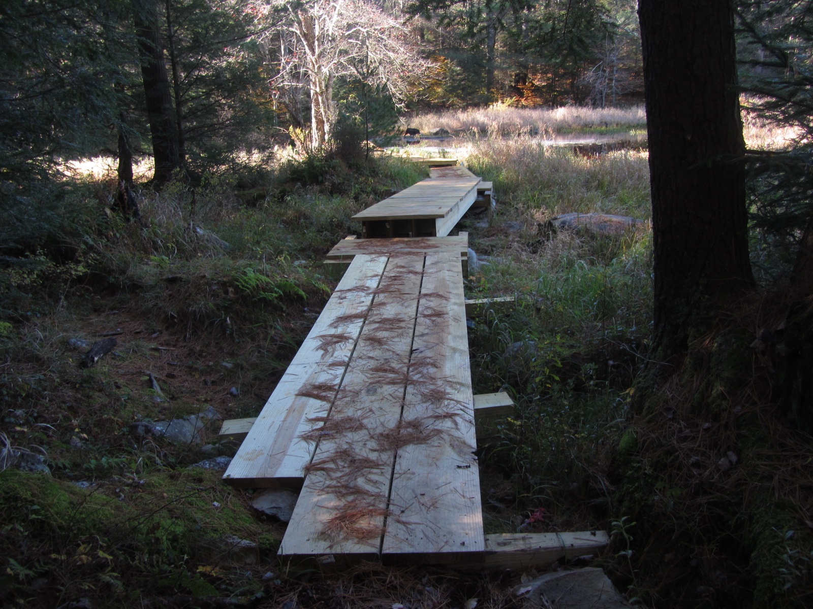 Highlights at the Center | Dyken Pond Environmental Education Center